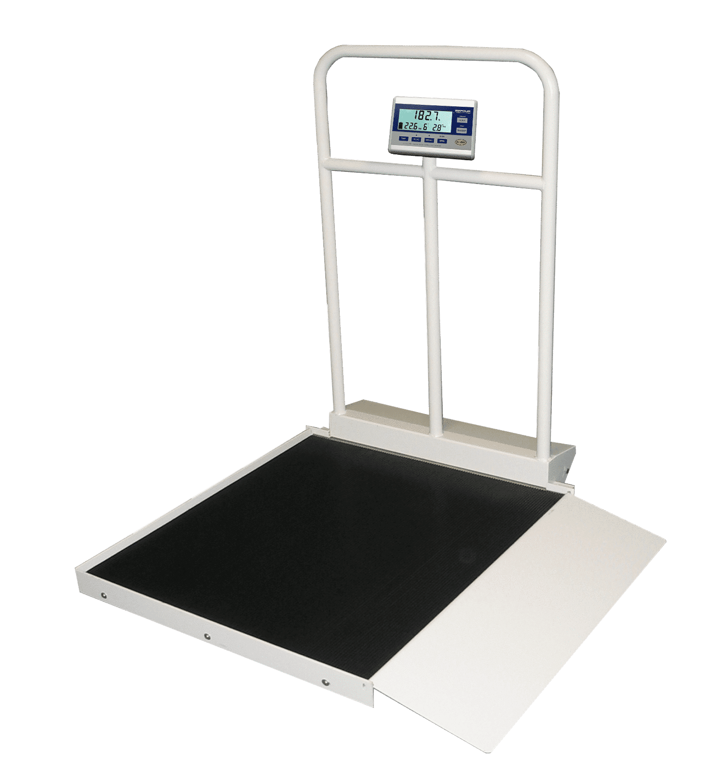 MX450 Wheelchair Scale: Liomar Medical's Portable Solution
